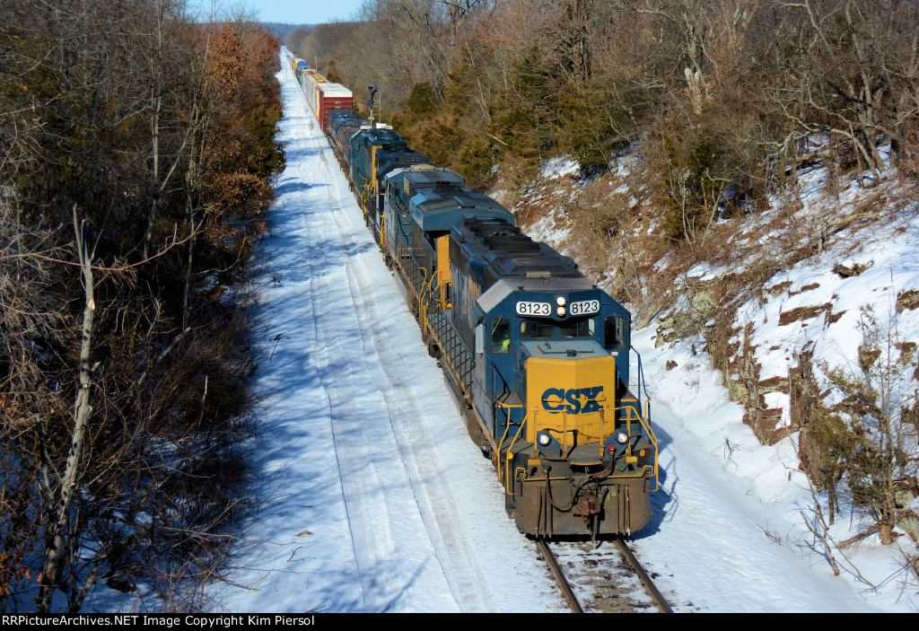 CSX 8123 Q417